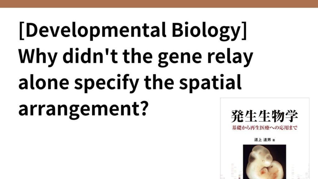 [Developmental Biology] Why didn’t the gene relay alone specify the ...